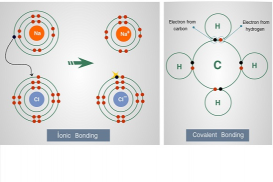 Structure and Bonding | Content Management